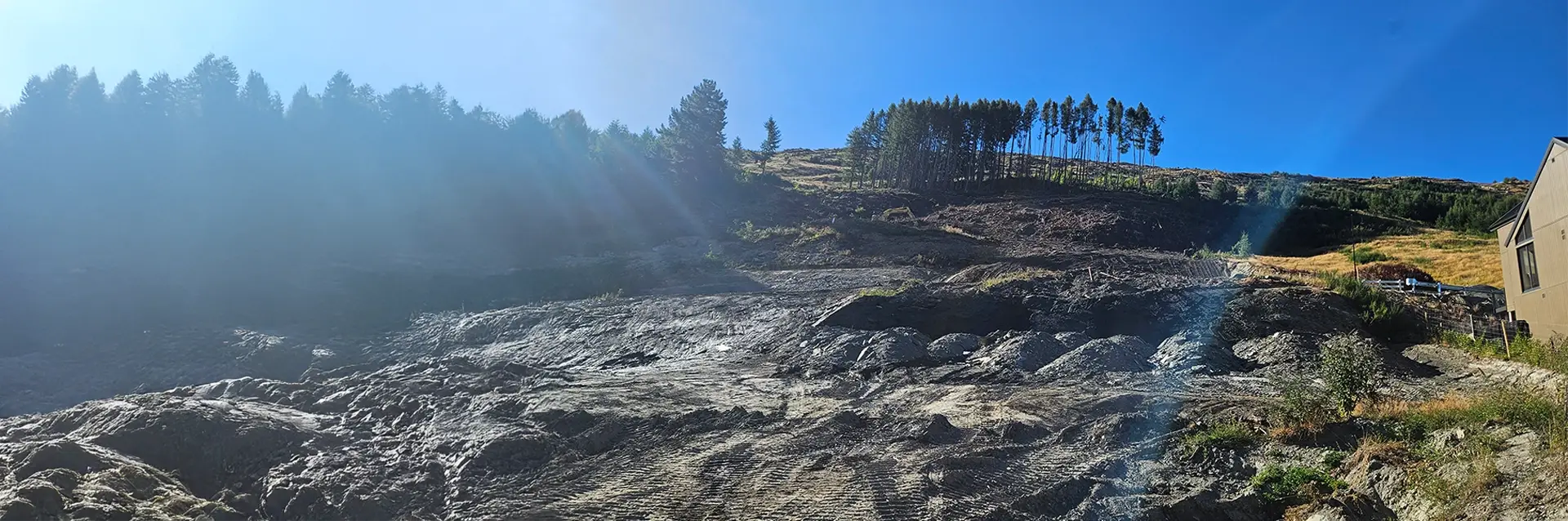 Land Clearing - Tree Technician