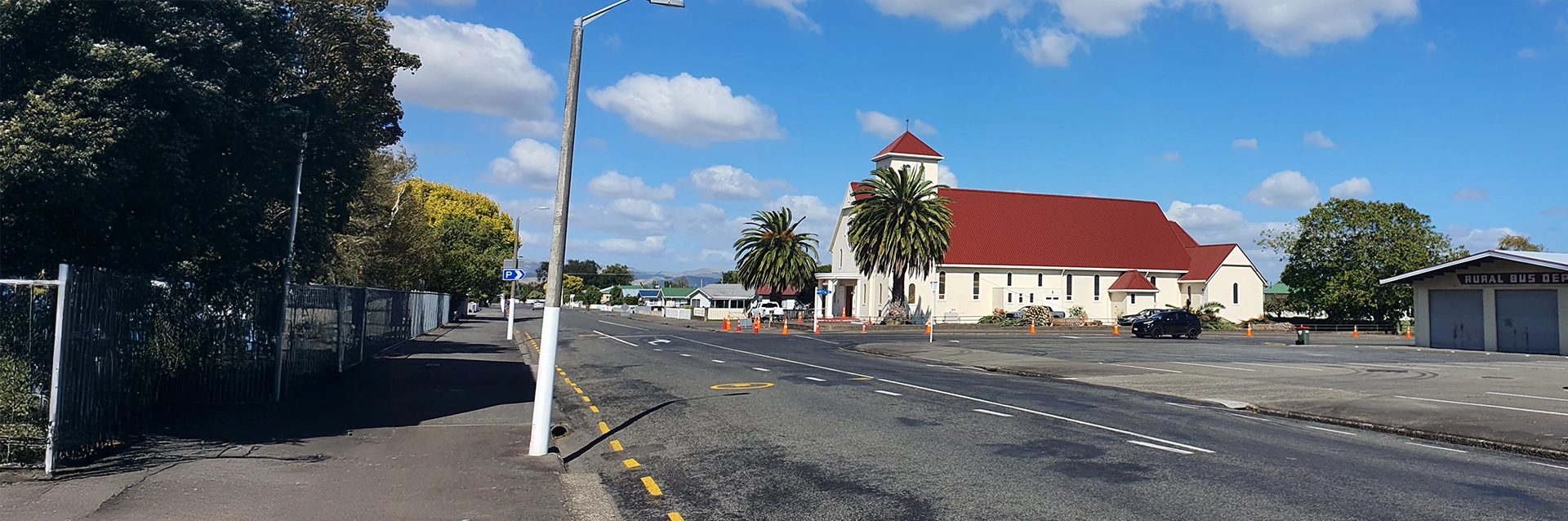 Tree Assessments - Tree Technician