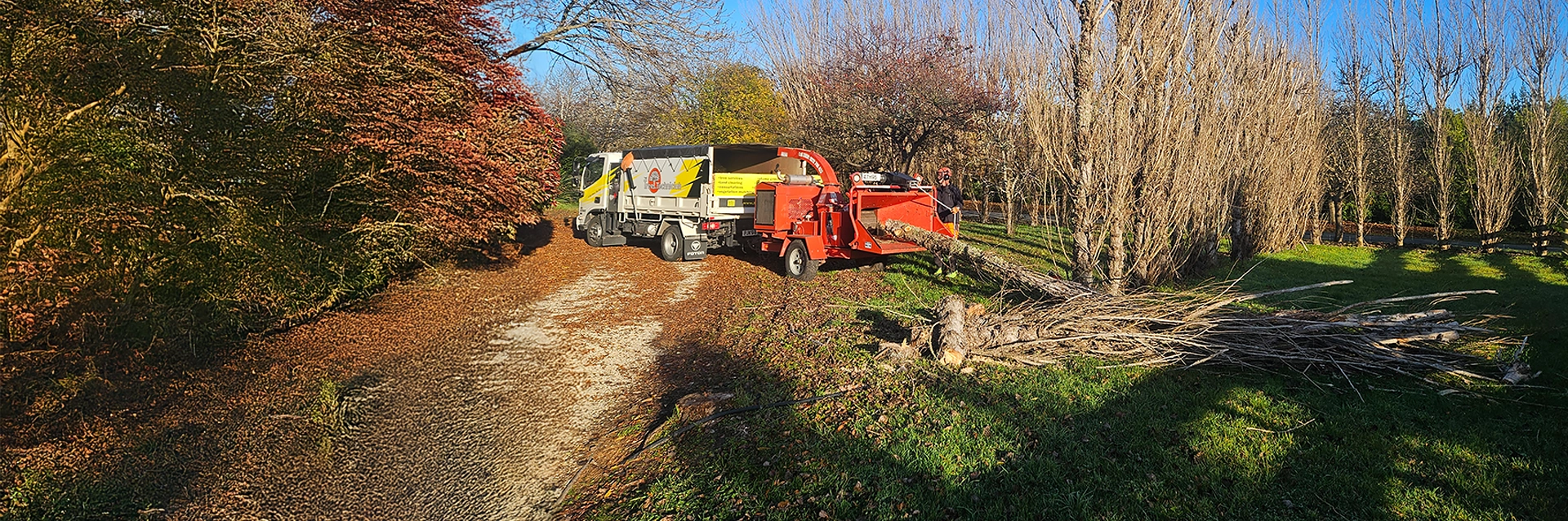 Wood Chipping Service - Tree Technician