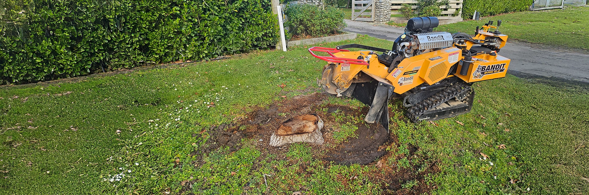 Stump Grinding - Tree Technician